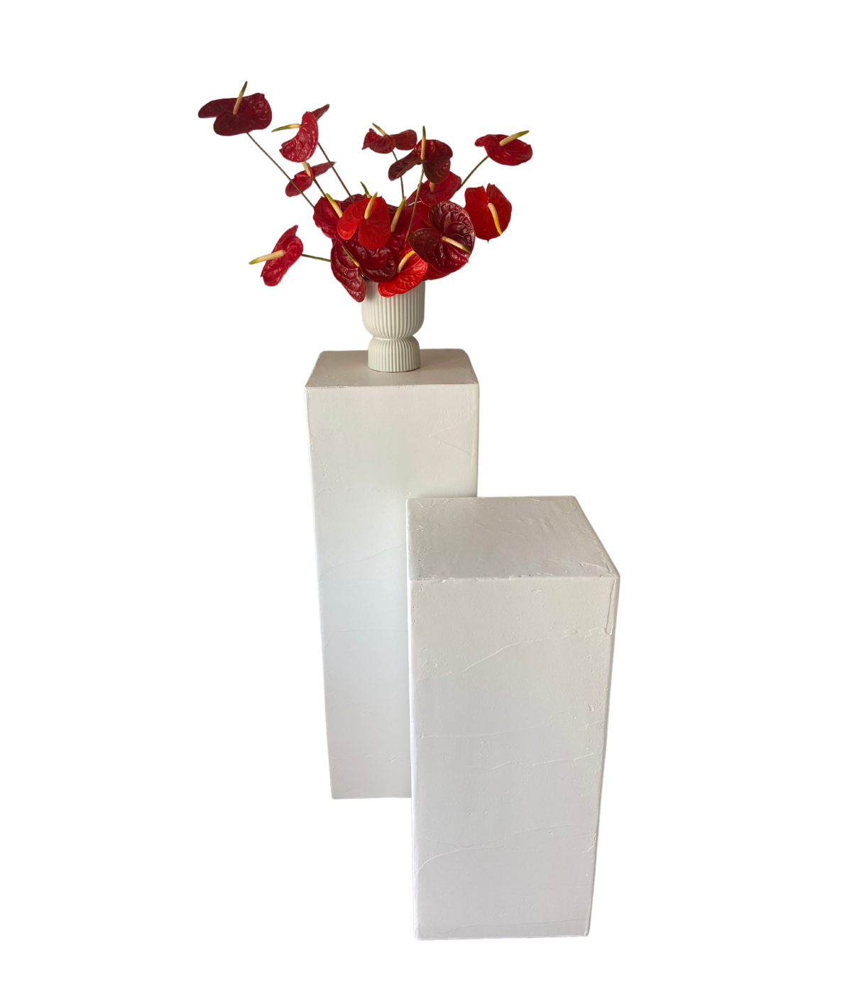 Plastered Plinth – Pern designs